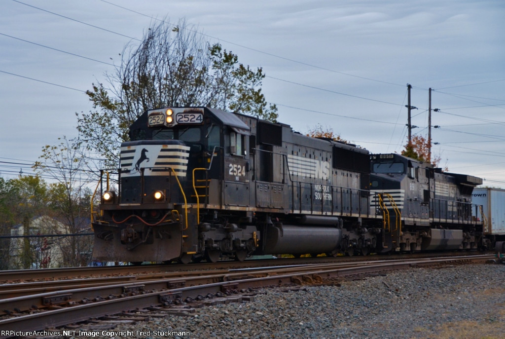 NS 2524